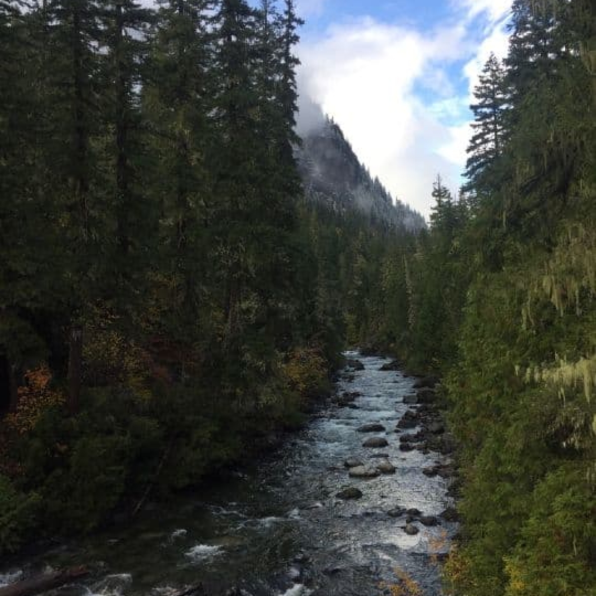 Straddling the Cle Elum River - Special Finds, Unique Homes