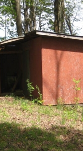 Prepper Home with Bunker - Special Finds, Unique Homes